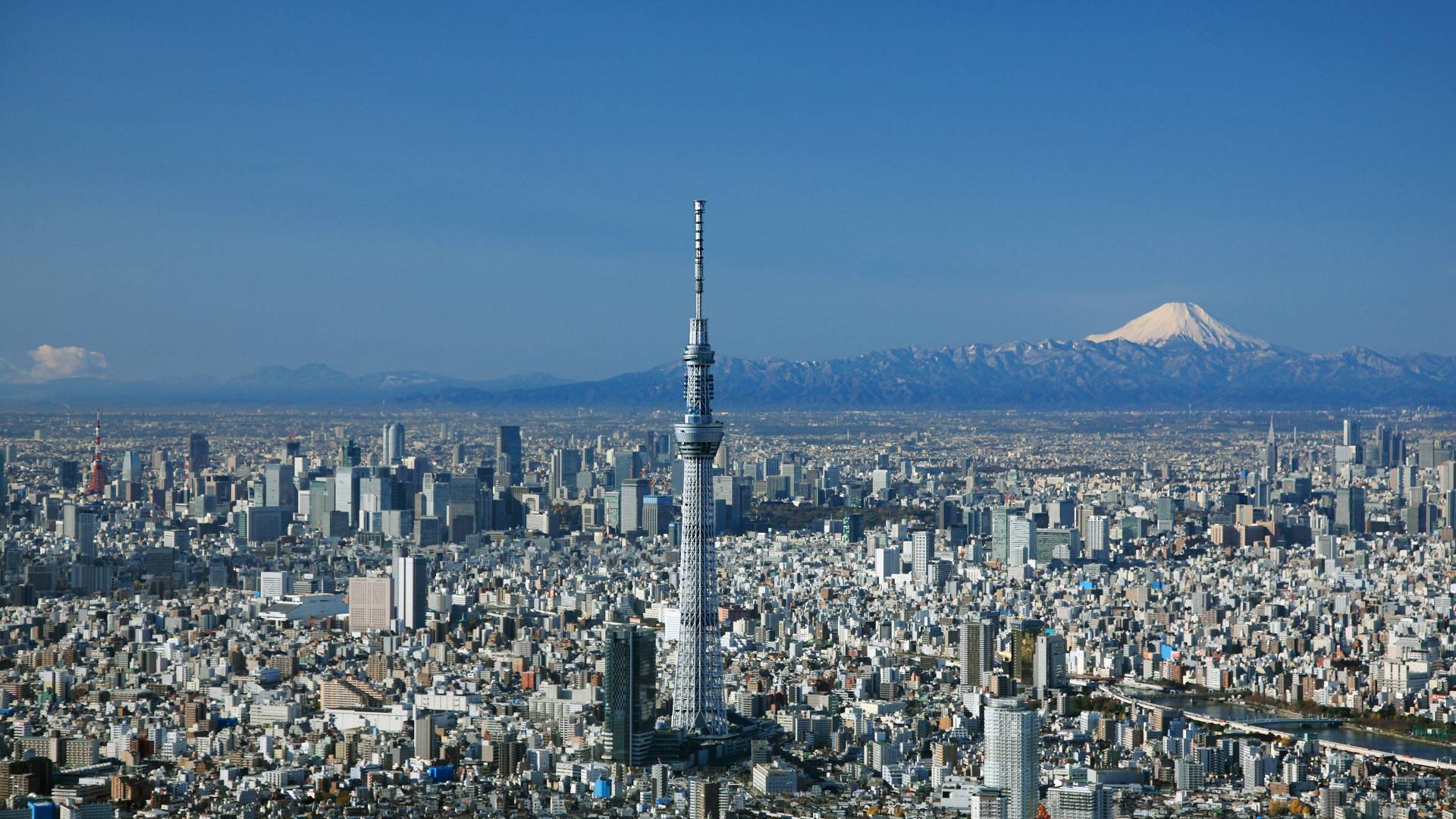 La Tokyo Skytree : visite d'un emblème de la capitale