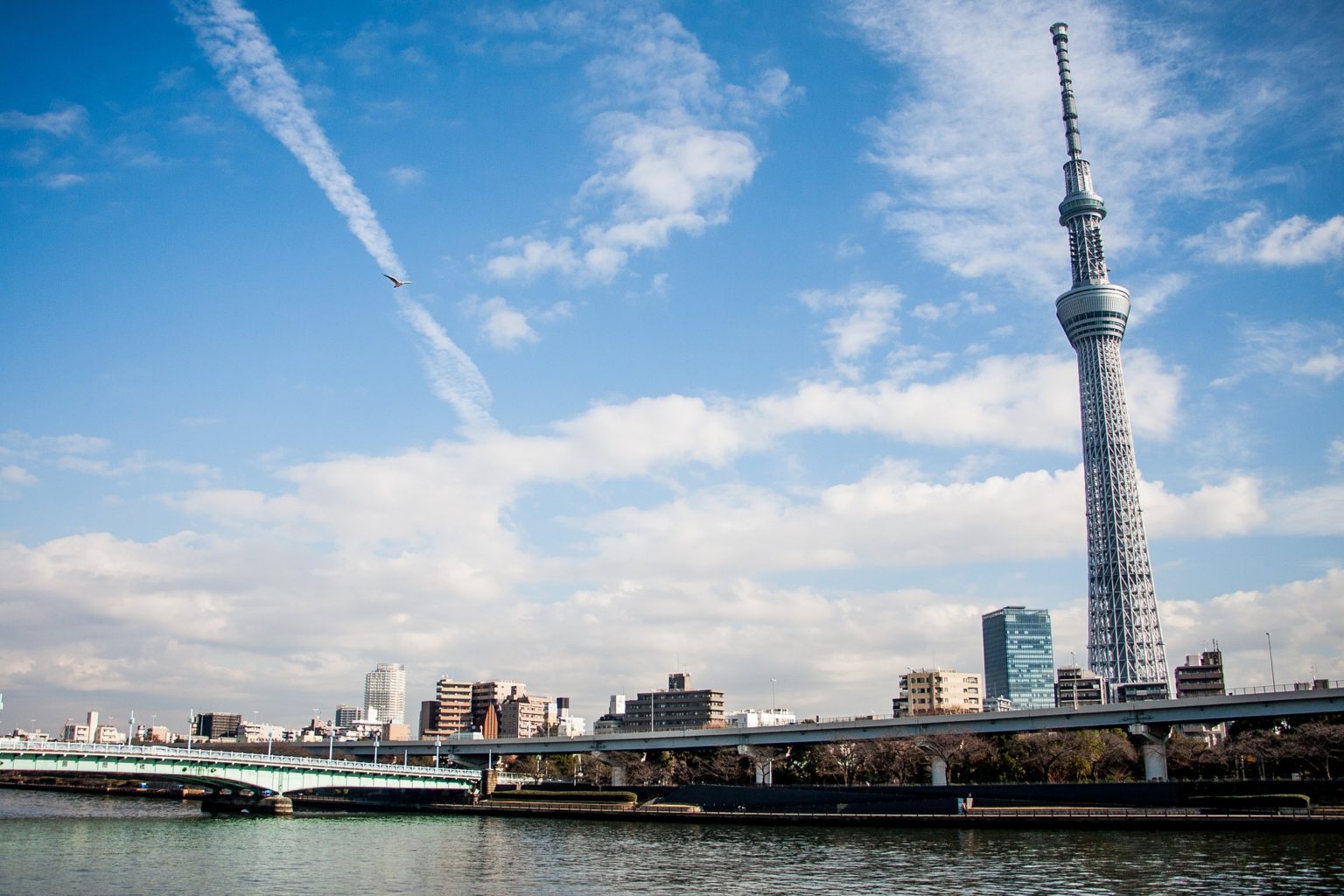 La Tokyo Skytree : visite d'un emblème de la capitale
